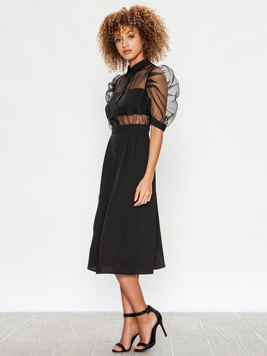 Sheer Organza Dress
